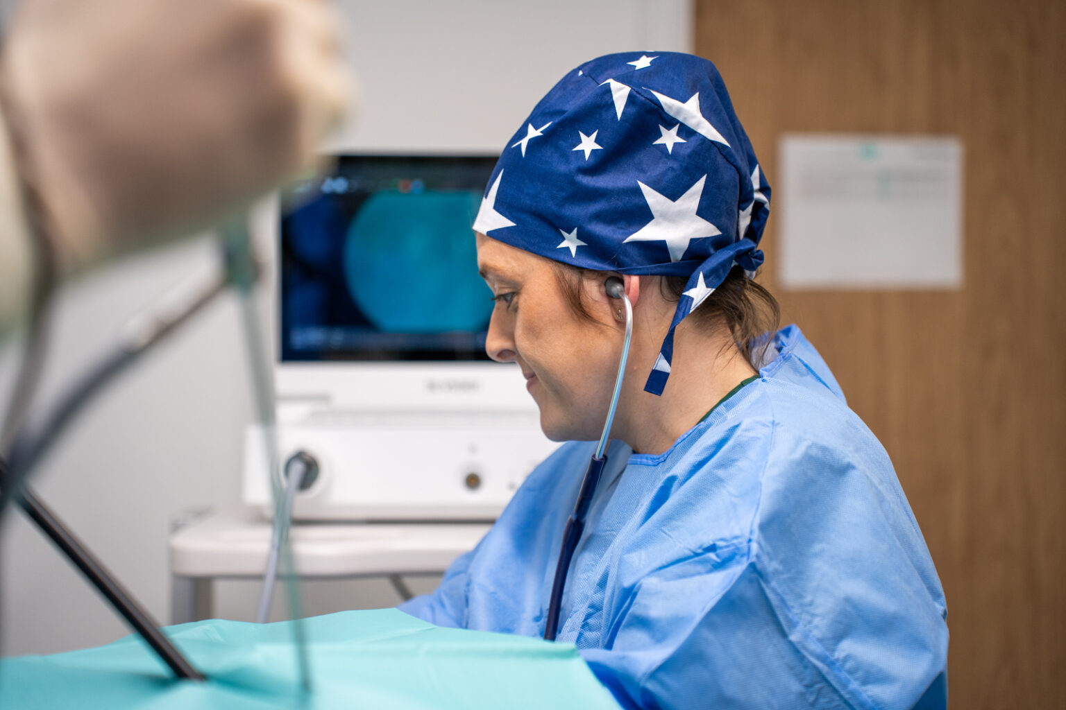 Pet Laparoscopic Surgeries | Clevedale Vets